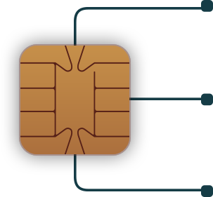 PIV Card - Cyber Armed